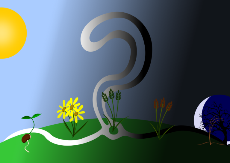 Thisness: Coming to our Senses (Part 2 of 3) - Nurture Development