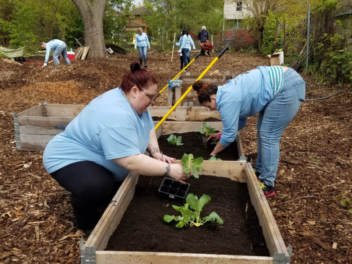 Asset Based Community Development (ABCD) - Nurture Development